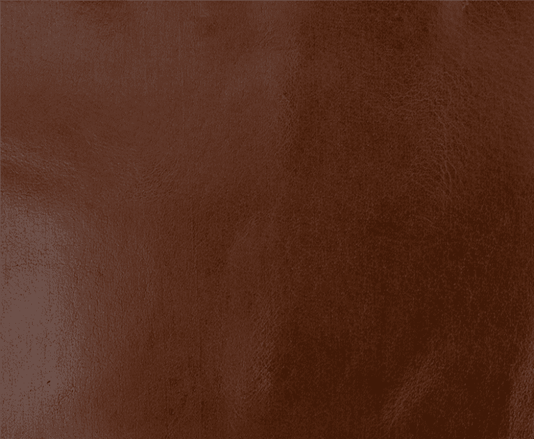 Leather for Amazing Fashion Goods - Chrome & Vegetable Tanned