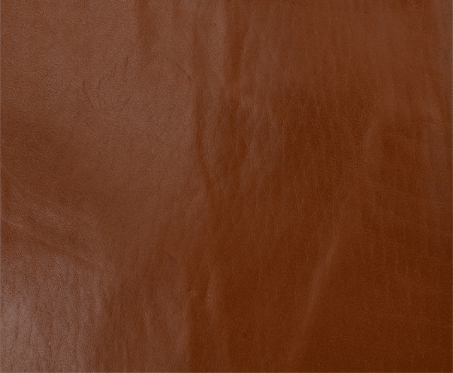 Leather for Amazing Fashion Goods - Chrome & Vegetable Tanned