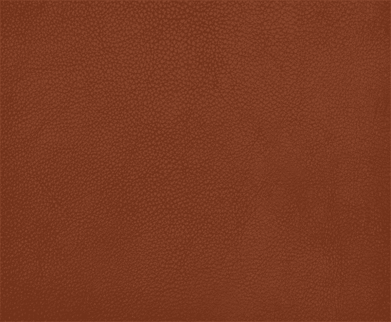 Leather for Amazing Fashion Goods - Chrome & Vegetable Tanned